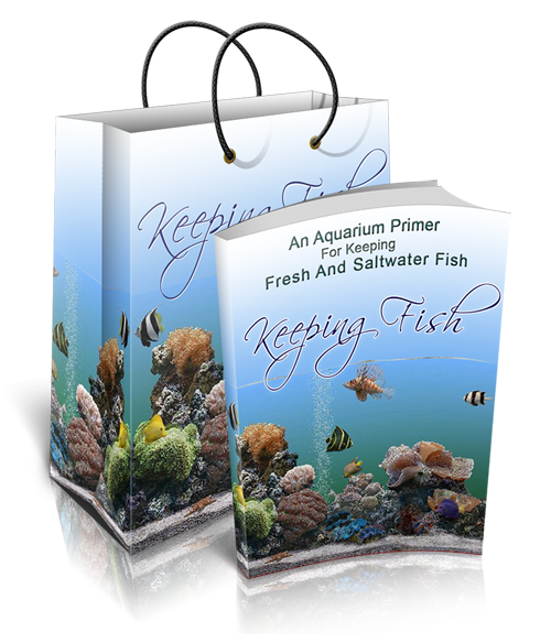 Keeping Fish - ebook - Private Label Rights